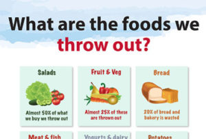 What are the foods we throw out? - Stop Food Waste